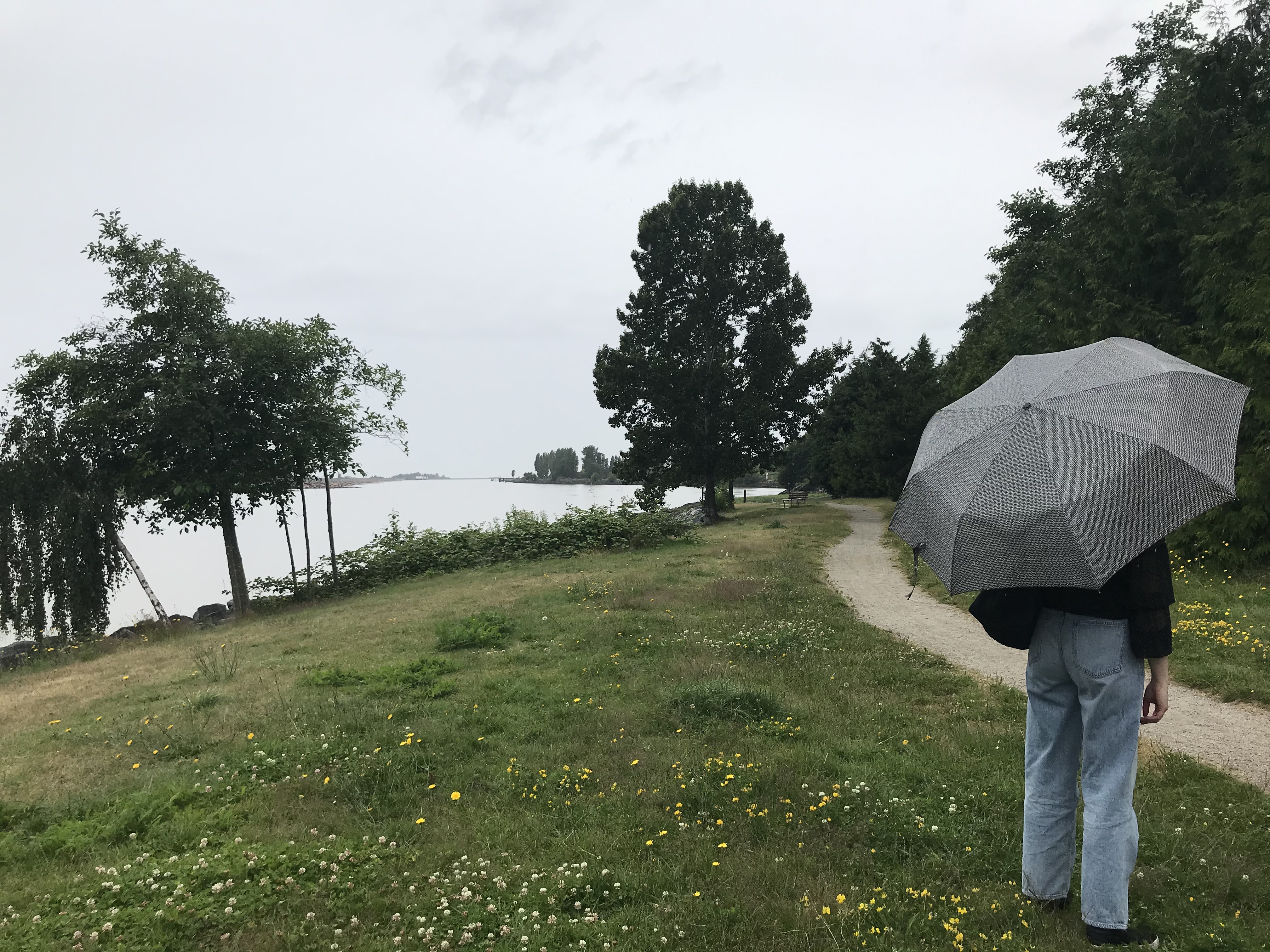 #185: Deering Island Park – Vancouver Park Guide