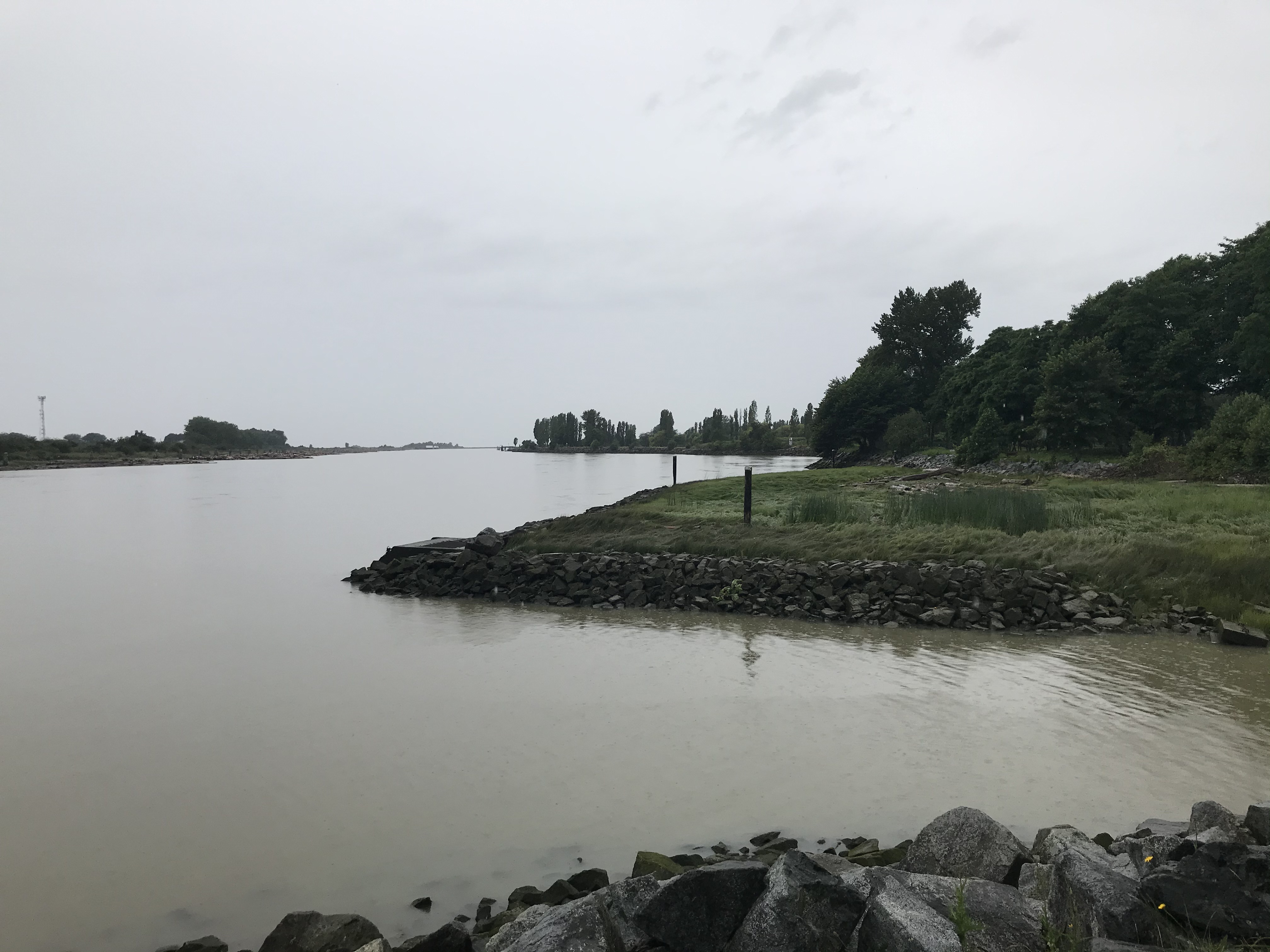 #185: Deering Island Park – Vancouver Park Guide