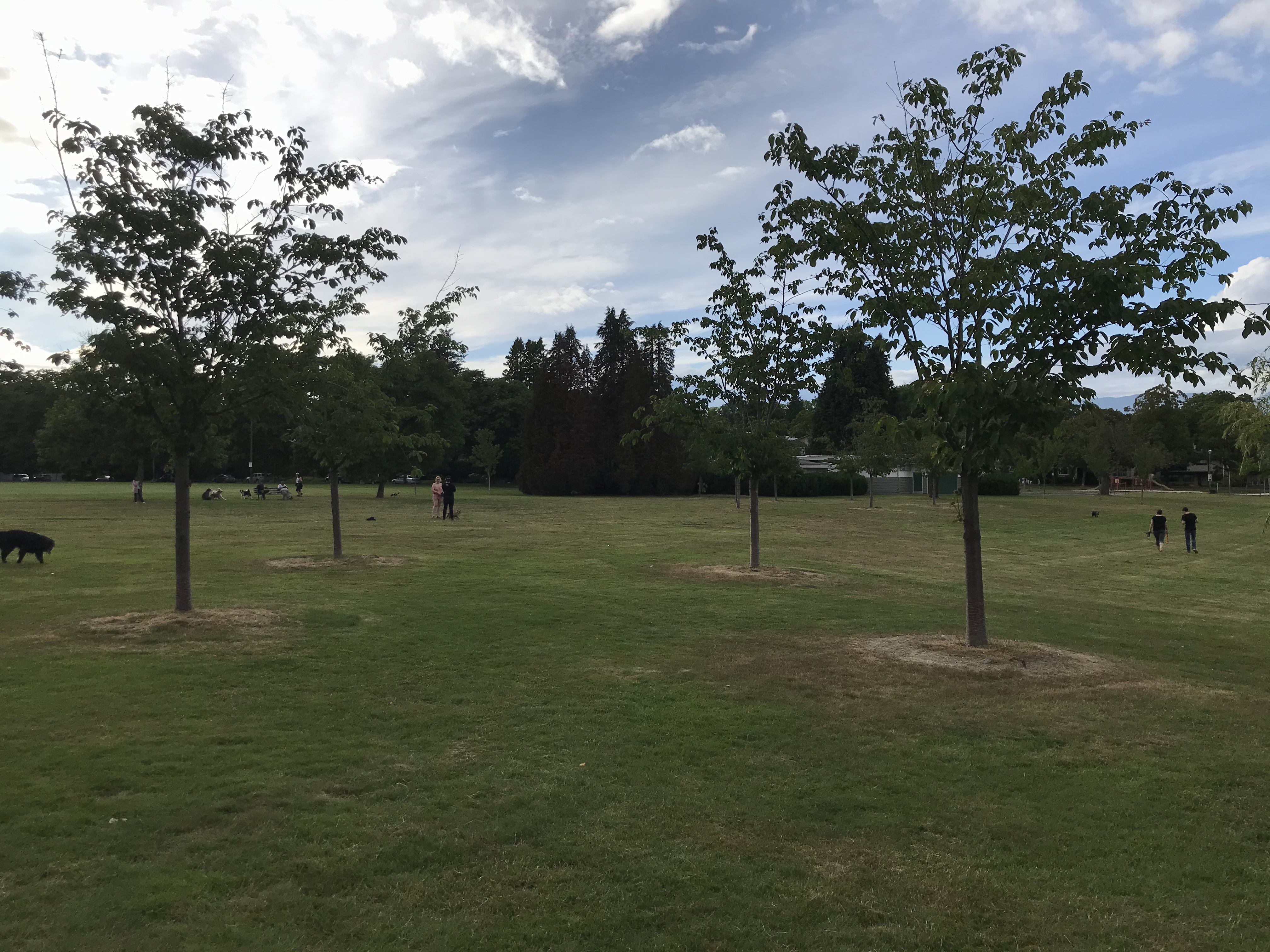 #119: Balaclava Park – Vancouver Park Guide