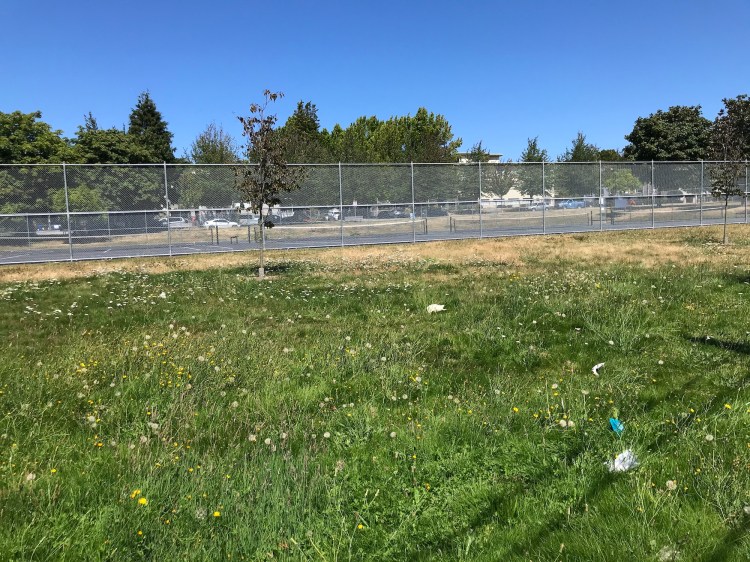 Vancouver Park Guide – A review of all 240+ parks in the City of Vancouver