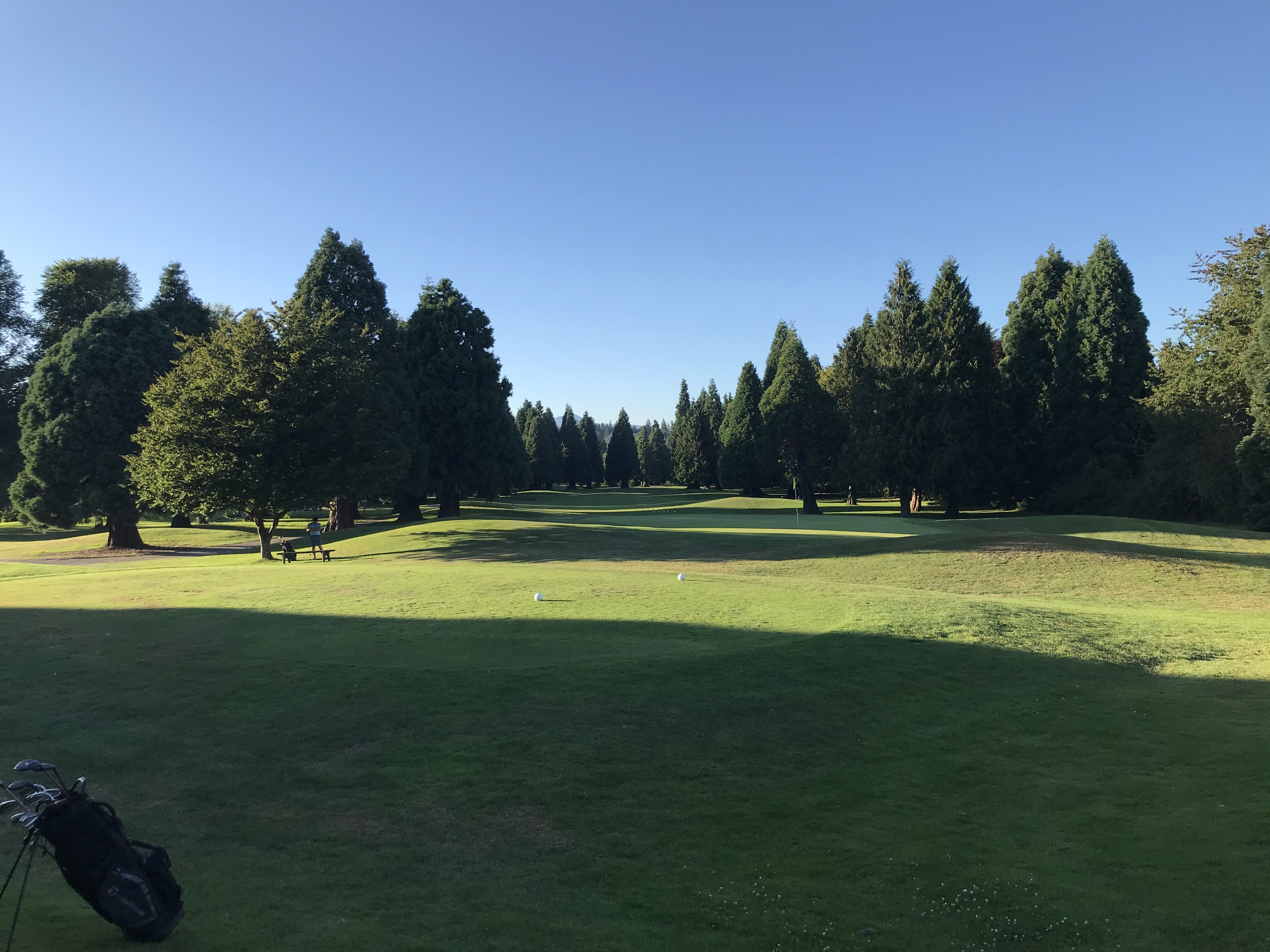 #183: McCleery Golf Course – Vancouver Park Guide