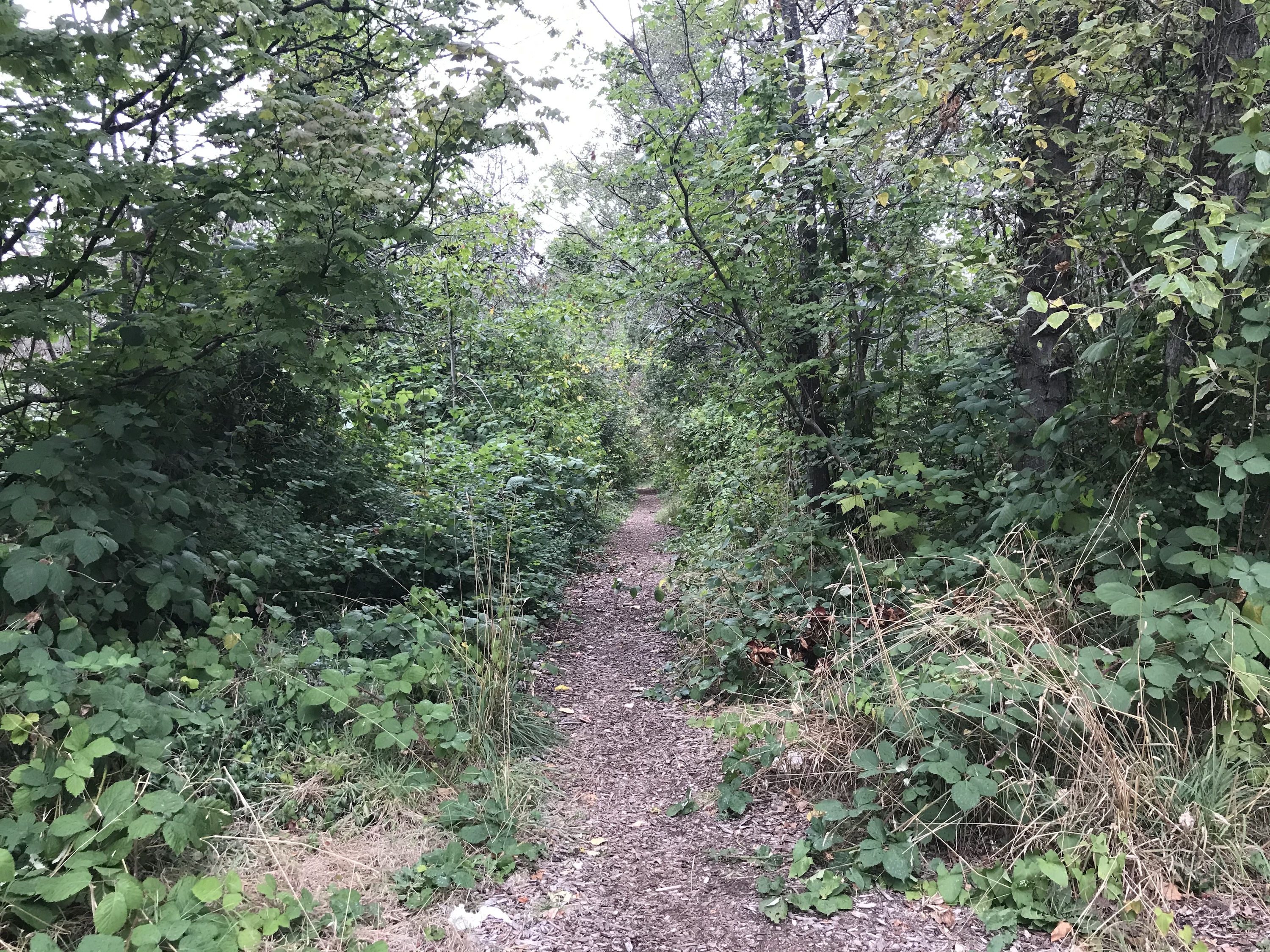 #162: Captain Cook Park – Vancouver Park Guide