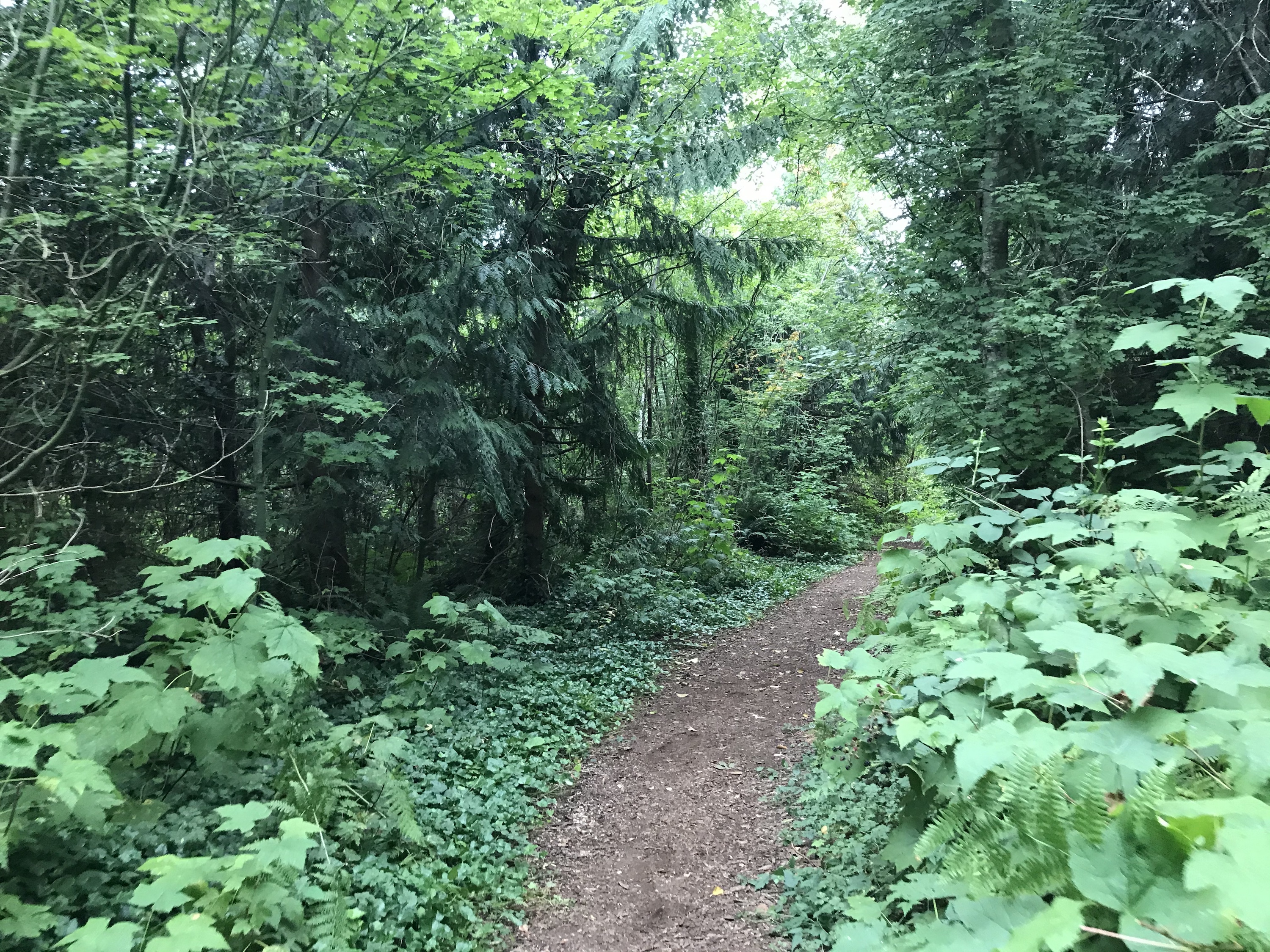 #162: Captain Cook Park – Vancouver Park Guide