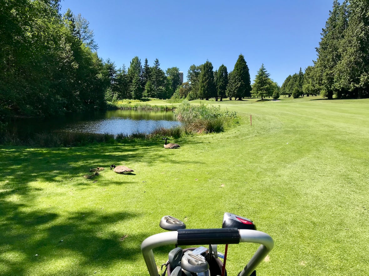 #135: Langara Golf Course – Vancouver Park Guide