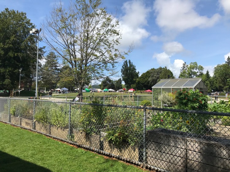 #27: Riley Park – Vancouver Park Guide