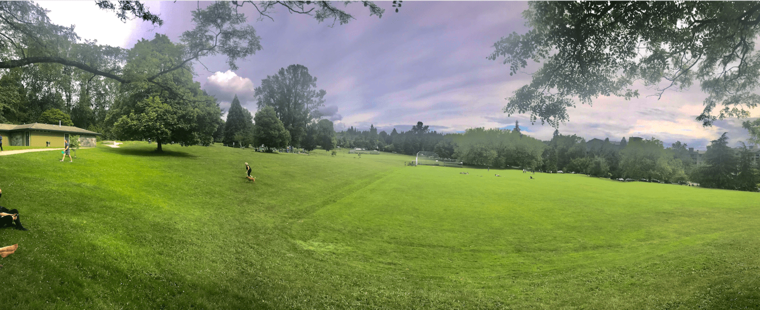 #25: Quilchena Park – Vancouver Park Guide